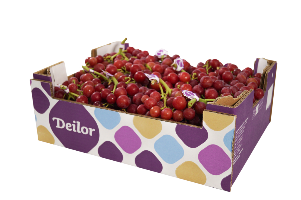 Uva Roja - Deilor Sociedad Cooperativa Agraria